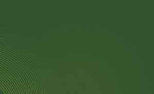 Freestone Grove Partners | The Future of Fundamental Investing