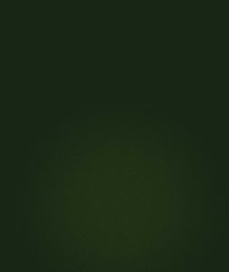 Freestone Grove Partners | The Future of Fundamental Investing