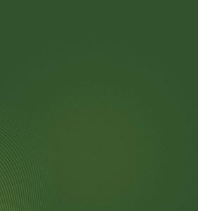 Freestone Grove Partners | The Future of Fundamental Investing